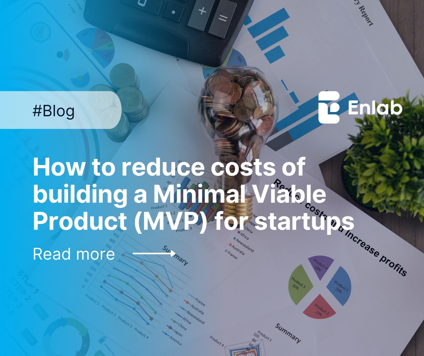 How to reduce costs of building a Minimal Viable Product for startups
